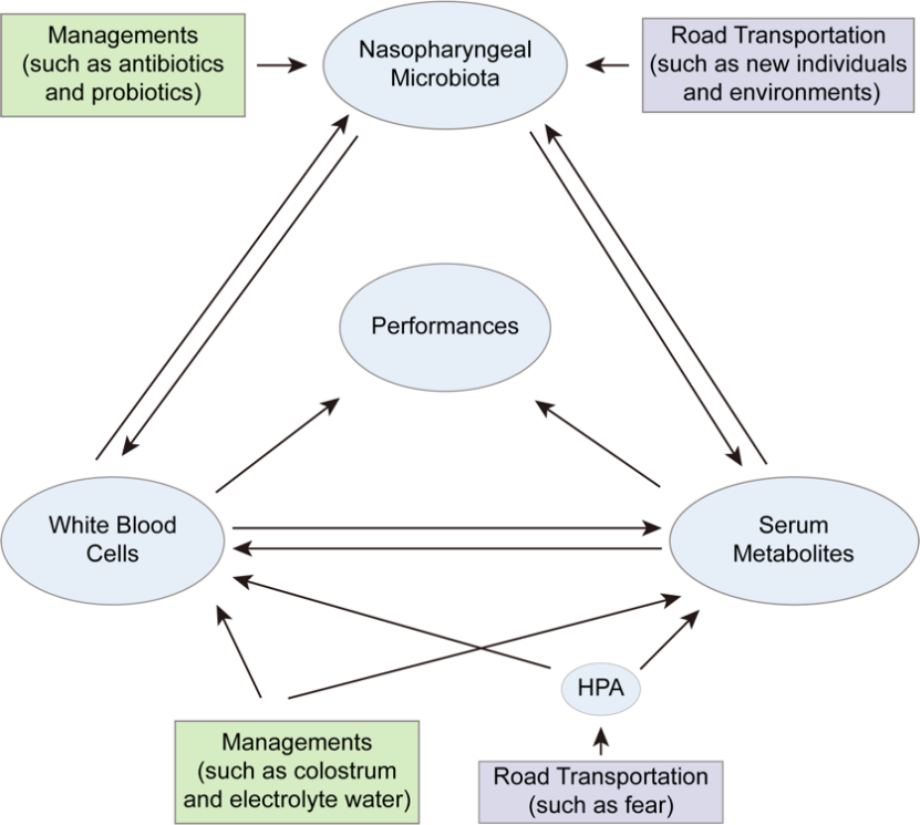 Microbiome | Multi-Omics Investigation Revealed the Impact of Long ...